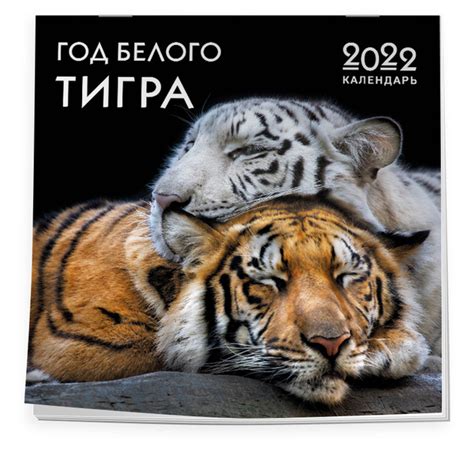 Год белого тигра. Календарь настенный на 2022 год (300х300 мм) — купить ...