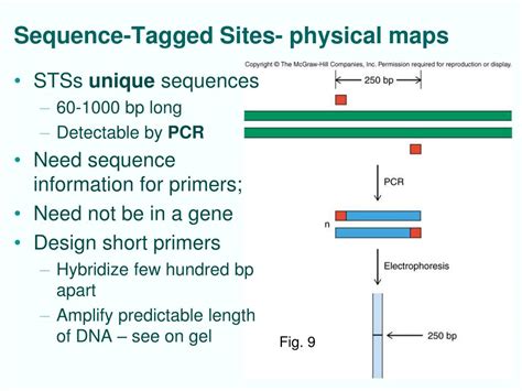 Ppt Chapter Topics Genomics Proteomics Bioinformatics
