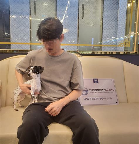 믹스견 쿠키 강아지책임분양 고양이책임분양 유기견책임분양 유기묘책임분양 연예인강아지분양하는곳 연예인고양이분양하는곳 골댕이무료분양