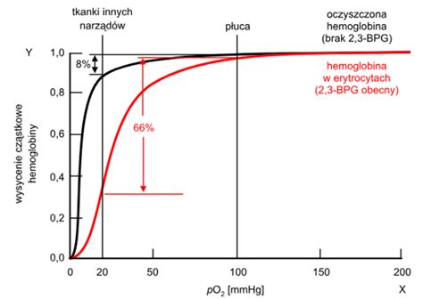 The Oxygen Binding Curve Shows The Partial Saturation Of Hem Quizlet