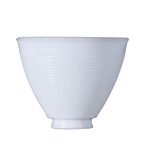 6 Inch Ies Opal Glass Reflector Shade 2 14 Inch Fitter 08390