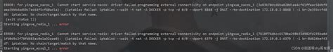 Dockercannot Start Service Nacos Driver Failed Programming External