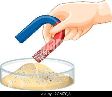 Separating Mixtures By Using Magnet Illustration Stock Vector Image