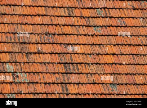 toit de tuiles toit de tuiles d une ancienne maison toits de tuiles utilisés dans la