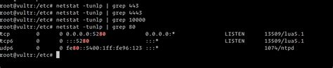 Hey I Have Successfully Installed But Cant Visit · Issue 3259