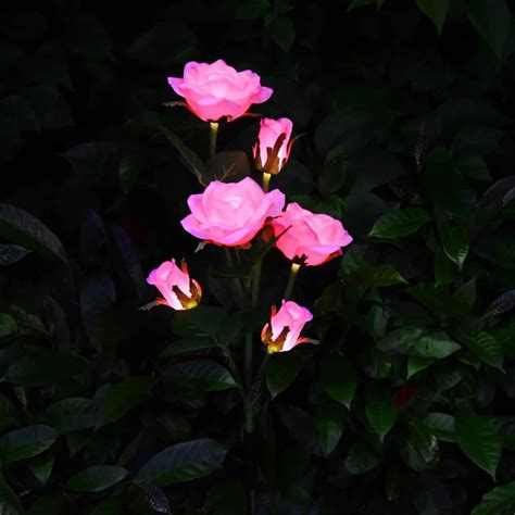 Led 솔 라 잔디 스테이크 시뮬레이션 장미 꽃 빛 홈 정원 장식 램프 장식 지상 빛 프리 라이트led 론 램프