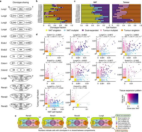 Clonotype Sharing And Tissue Expansion Patterns A Tcr Sharing Across