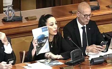 Elettrificazione Ferrovia Jonica Scutellà Mostra Al Governo Una Foto