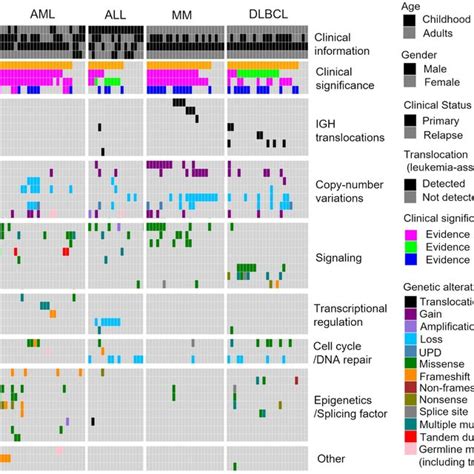 Subtype Classification Based On The Cseq Assay Results Pie Charts Download Scientific Diagram