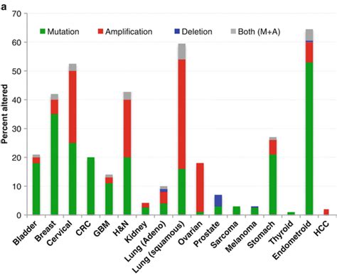 Mtor Inhibition Beyond Rapalogs Oncohema Key