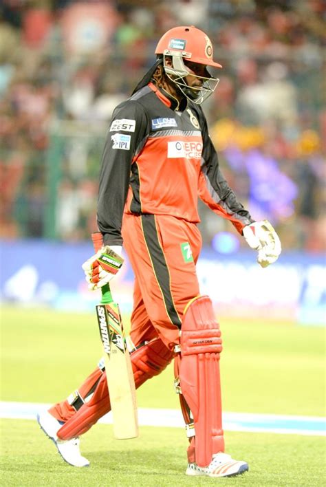 Ipl Royal Challengers Bangalore Vs Kolkata Knight Riders