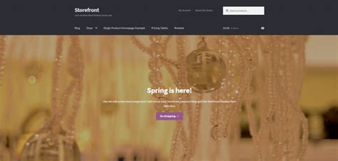 37 Best Woocommerce Themes In 2024 Free And Paid