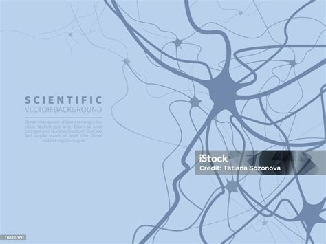 神經系統模型技術醫學化學科學和教育專案的科學載體背景向量圖形及更多神經細胞圖片 神經細胞 人體神經系統 抽象 Istock