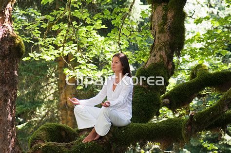 해외작가포토 클립아트코리아 통로이미지주