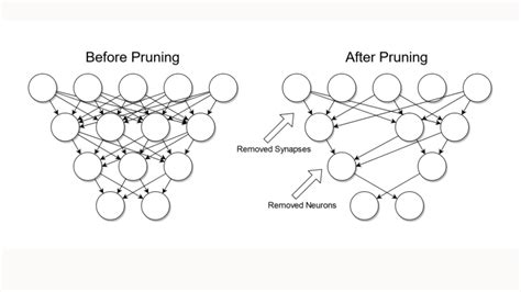 Pruning Decision Trees