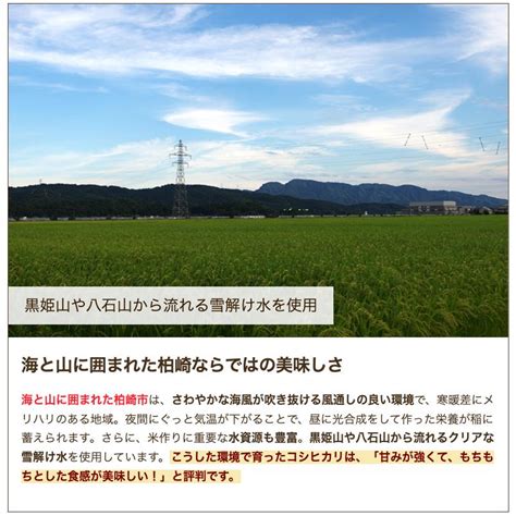 【令和6年度新米】特別栽培米（減農薬・減化学肥料）新潟県産コシヒカリ 無洗米5kg田村農産後払い決済不可送料無料 お中元 0942