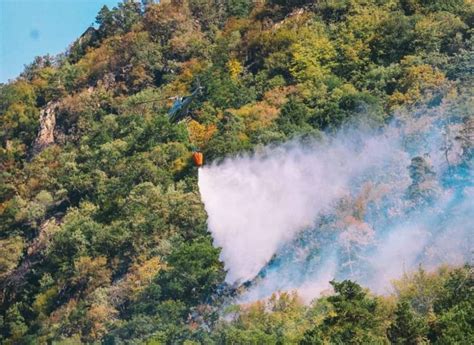 ბორჯომში ხანძრის გავრცელების სამივე სექტორზე ლიკვიდირებულია ცეცხლის კერების 90 შსს Metronome Ge