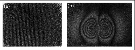Figure 4 From Assessment Of Defect Detection In Woodplastic Composites Via Shearography Method