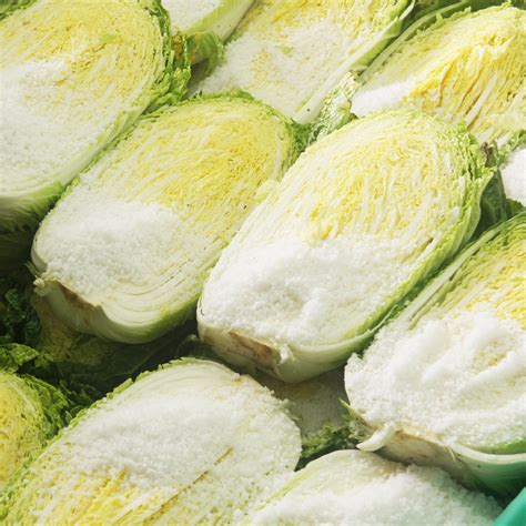 해남절임배추 20kg 절인배추 20키로 킴스오아시스