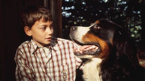 Familie Dr Kleist Folge 30 Familienzuwachs S03e04 Hier Anschauen
