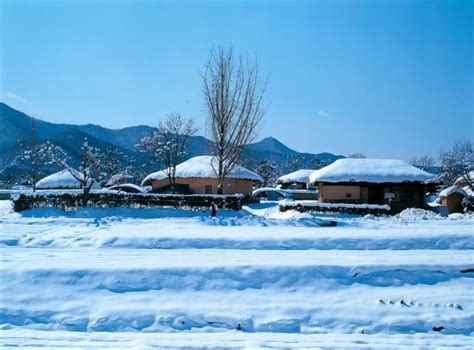 雪景에 있는 Stella Wang님의 핀 자연 사진 풍경 사진 풍경 수채화