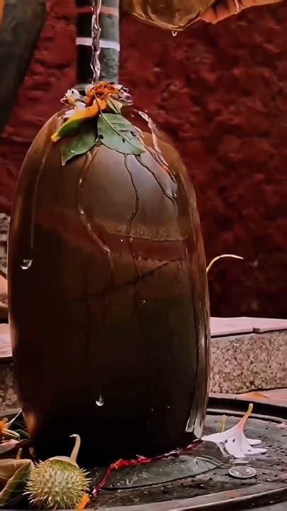 हर हर महादेव।।🙂‍↕️ ️‍🔥 Love Mahadevji Shivji Shivshayari Youtube