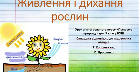 Живлення і дихання рослин Пізнаємо природу 5 клас НУШ за програмою