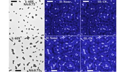 Euan Mcleod Professor Professor Euan Mcleod Soft Nano Photonic Systems