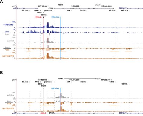 The 35kb Enhancer Influences 3d Structure Of The Cftr Locus