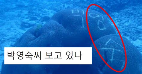 살아있는 생물에” 보자마자 빡친다는 한국인들의 무개념 낙서 지식의정석 New
