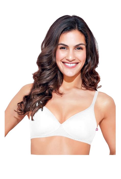 Buy Enamor White Non Wired Padded T Shirt Bra Online At Best Price At