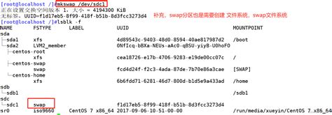 【linux】磁盘分区与永久挂载，实操模拟损坏文件系统，只要一个命令即可修复！！！linux永久挂载 Csdn博客