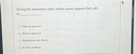 Solved During The Absorptive State Insulin Causes Adipose