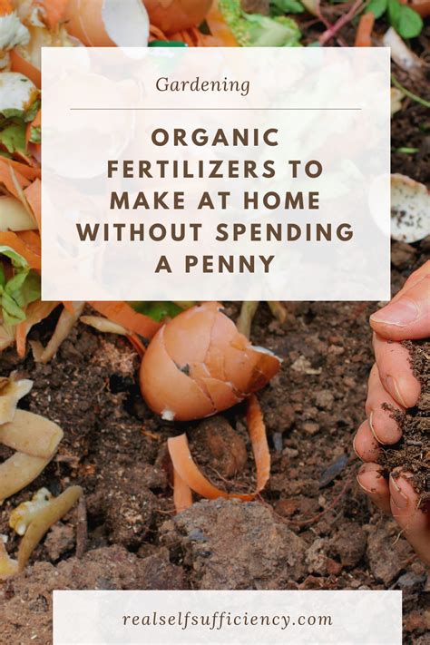 9 Organic Fertilizers To Make At Home Without Spending A Penny