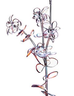 Modern 雕塑 Plant 花瓣网 陪你做生活的设计师 摆件景观园林小品 tmall com天猫