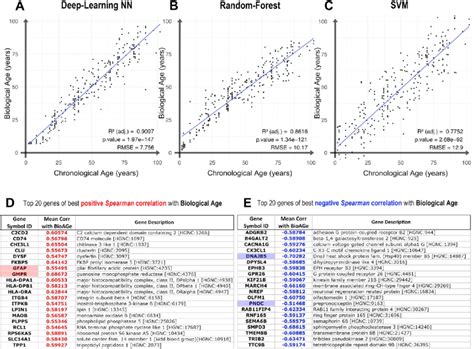Deep Learning Neural Network Applied To Build A Reliable Predictor Of Download Scientific
