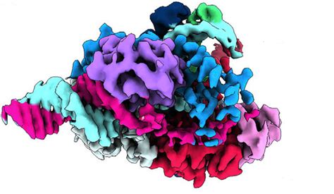 Virus Derived Crispr Systems May Be Added To The Gene Editing Toolbox