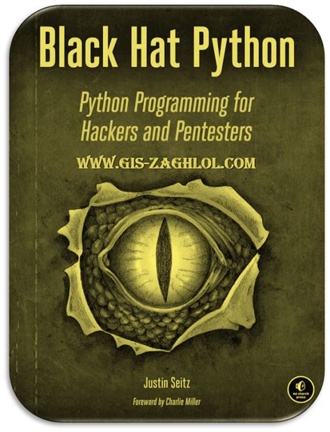 تحميل كتاب برمجة بايثون للقرصنة السوداء black hat python python