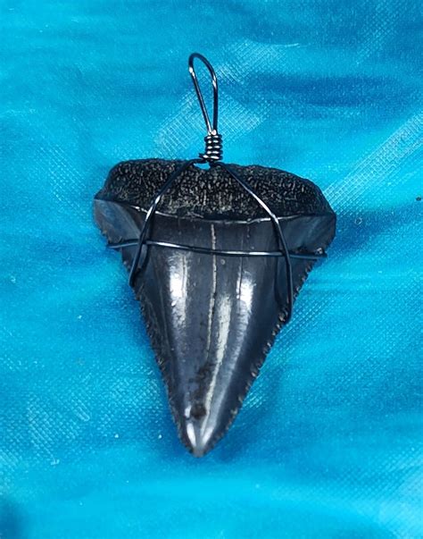 Awesome Fossil Great White Shark Tooth Necklace · L1 140 L2 136