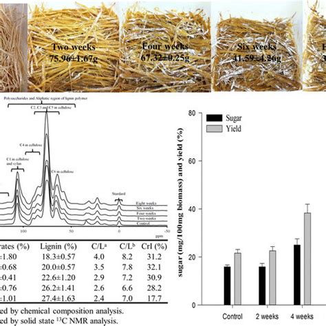 Pdf Effects Of Lignin Modification On Wheat Straw Cell Wall Deconstruction By Phanerochaete