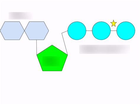 Unit 3 Concept 2 Diagram Quizlet