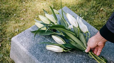 QUARTO Si Avvicina Lestate Stop Ai Fiori Freschi Al Cimitero Fino A