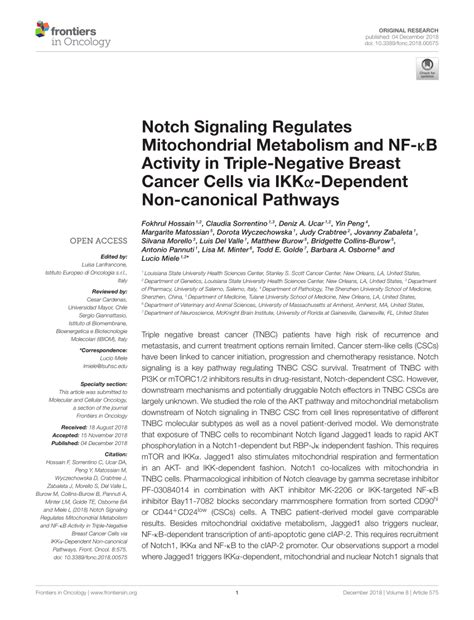 Pdf Notch Signaling Regulates Mitochondrial Metabolism And Nf κb