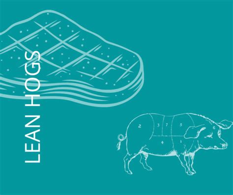 Lean Hogs Evening Trading Markets With Ztstrategy