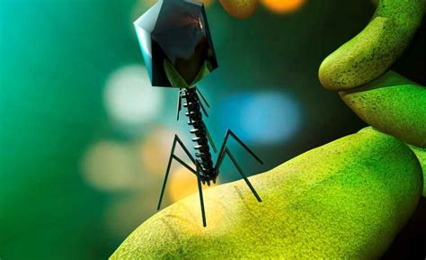 Take A Proactive Approach To Phage Management In The Dairy Plant 2017