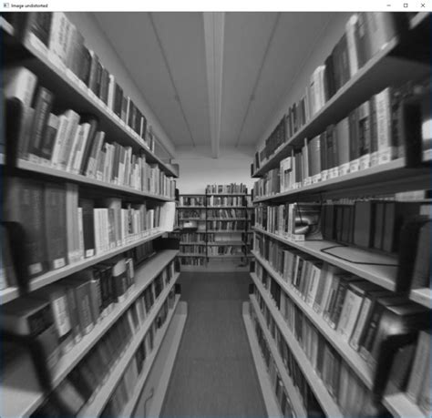 Opencv Reverse Fisheye Radial Distortion Using Field Of View Model