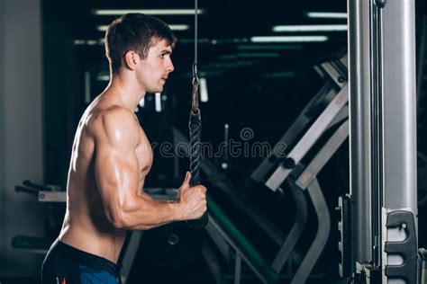 Muscular Man Working Out In Gym Doing Exercises At Triceps Strong Male