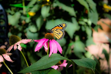 Our Community In Pictures Aultcare