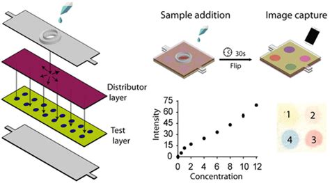 Publications Laboratory For Paper Based Microfluidic Technologies