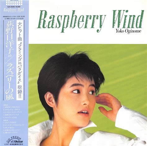 やや傷や汚れありLP帯付 即決 美盤 中古 荻野目洋子 ラズベリーの風和モノ フラミンゴ in パラダイス 久保田利伸